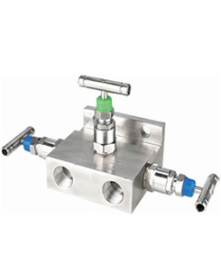 PMT Valves Pvt Ltd , Instrumentation Valves,Needle Valves, Manifold ...